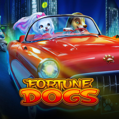 SunBet – Online Betting & More | Get SA's Best Bonuses | Come Alive